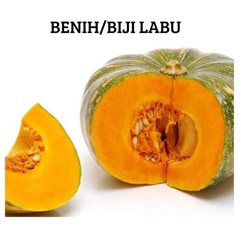 Jual Benih Biji Labu Kuning | Shopee Indonesia
