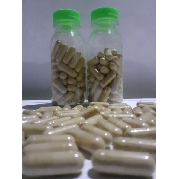 Jual KAPSUL CACING TANAH OBAT TIPES DEMAM DAN LAIN LAIN | Shopee Indonesia