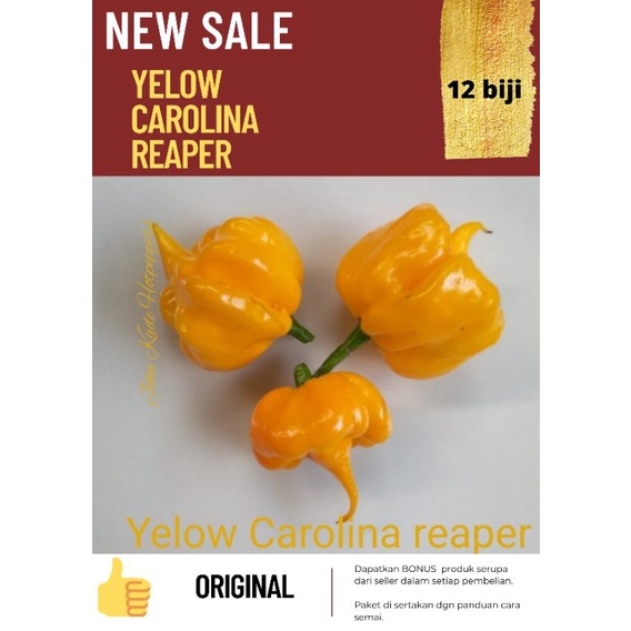 Jual Bibit Benih Biji Cabe Carolina Reaper Yelow- Yelow Carolina Reaper ...