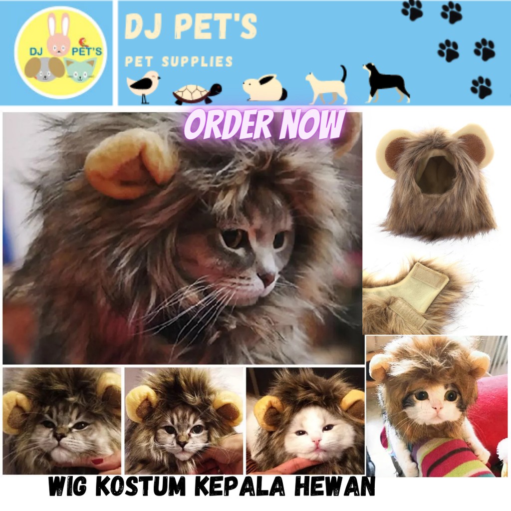 Jual Pet cosplay premium wig kucing dan anjing kostum hewan lion hat ...