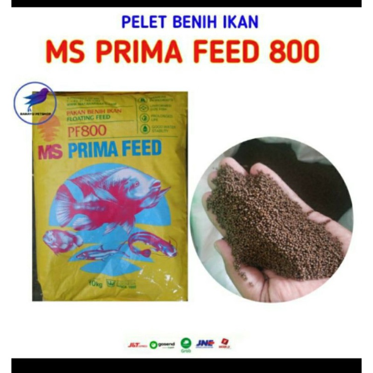 Jual PF 800 PELET IKAN 500 GRAM | Shopee Indonesia