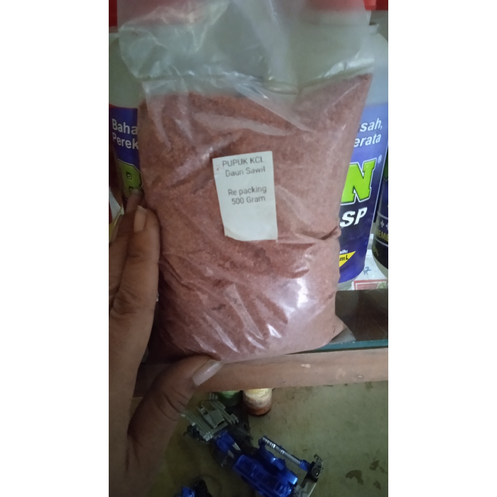 Jual Pupuk KCL MOP Daun Sawit repacked kemasan 500 Gram | Shopee Indonesia