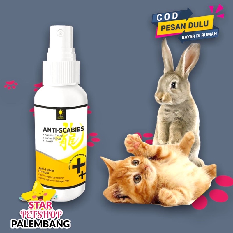 Jual Obat Scabies Kucing ANTI SCABIES 60ml | Shopee Indonesia