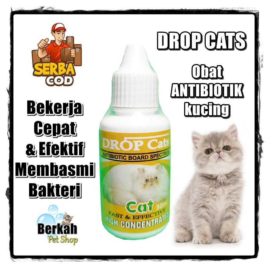 Jual Drop Cats Obat Antibiotik Kucing Demam Flu Batuk Infeksi ...