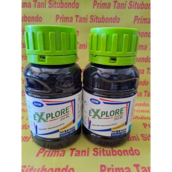 Jual Fungisida+Zpt explore 250 ec kemasan 250 ml | Shopee Indonesia