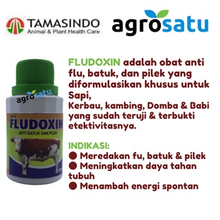 Jual Obat Flu Batuk Pilek FLUDOXIN Sapi Kambing Domba Kuda Hewan Ternak ...