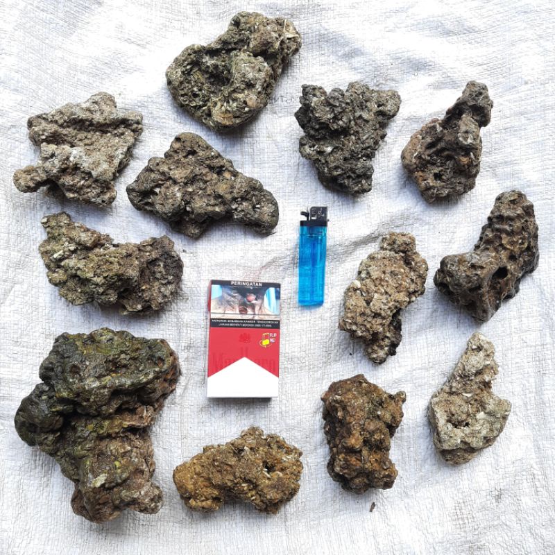 Jual Batu karang sungai / batu kali berkarakter untuk aquascape ...