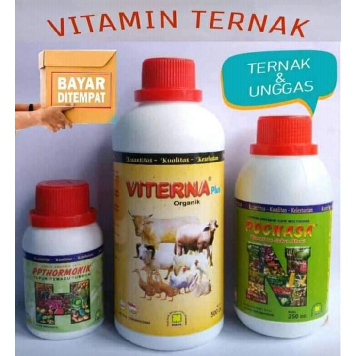 Jual PAKET VITAMIN TERNAK BERKUALITAS ORIGINAL NASA Indonesia|Shopee Indonesia