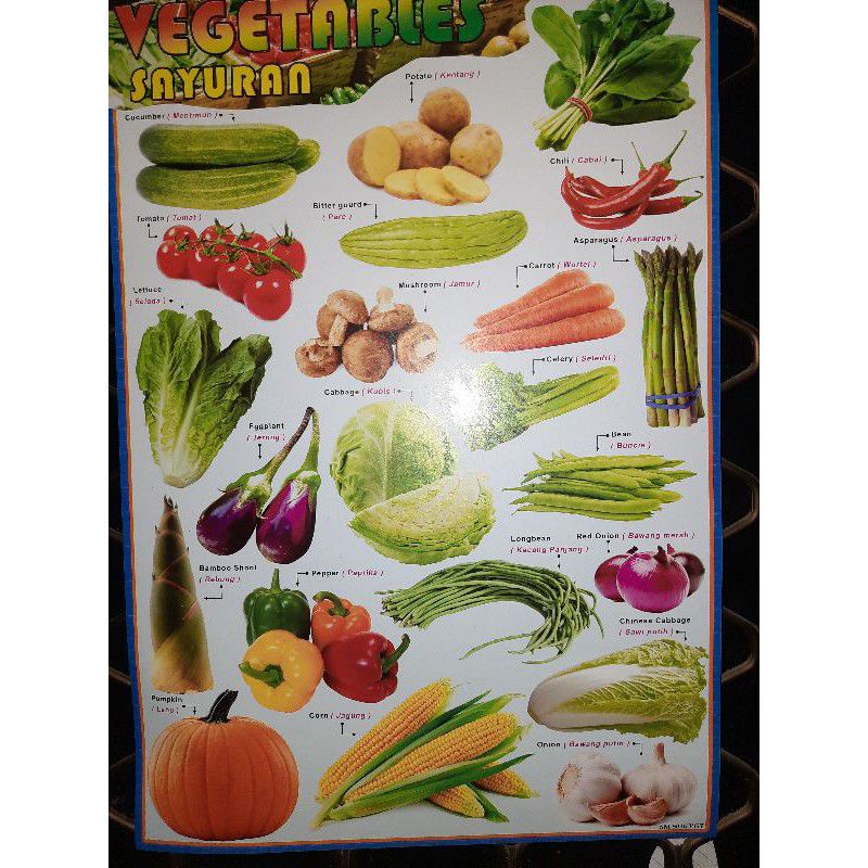 Jual Poster Edukasi Anak Vegetables Sayuran Warna Gambar Sayuran ...