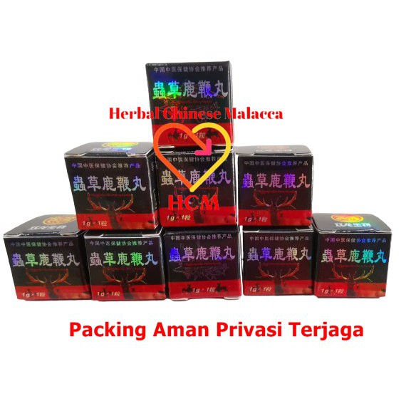 Jual Obat Kesuburan dan keperkasaan pria/Chong Cao Lu Bian Wan Isi 15 ...