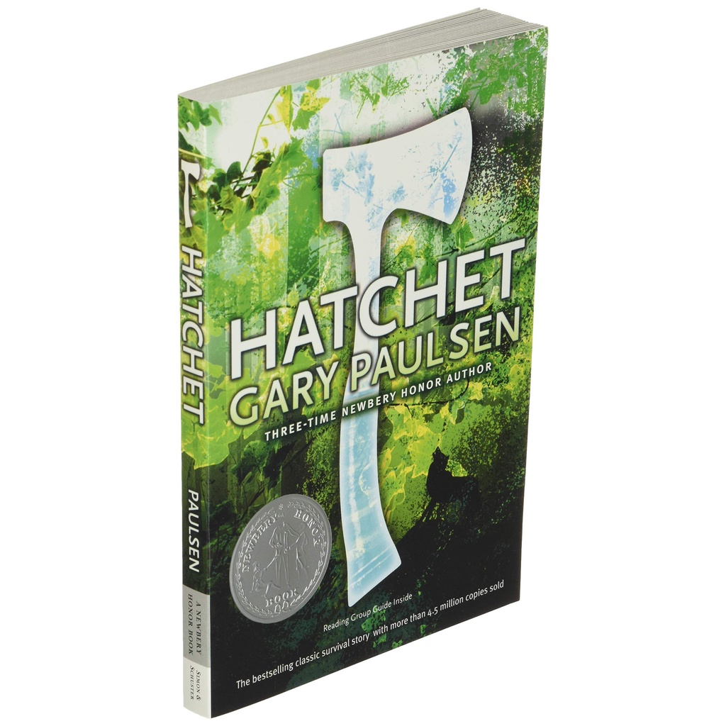 Scenes From Hatchet By Gary Paulsen