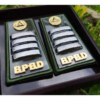 Jual PANGKAT BPBD GOLONGAN 2D - PANGKAT BPBD 2D | Shopee Indonesia