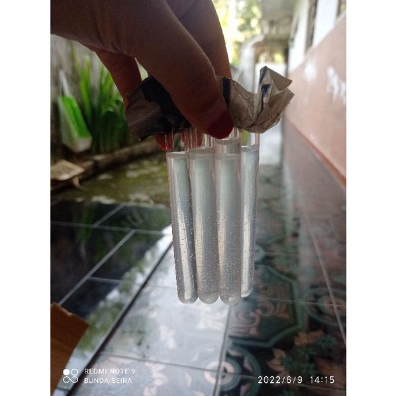 Jual STARTER NATA DE COCO TUBE | Shopee Indonesia