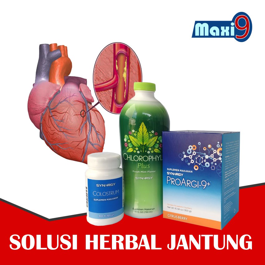 Jual Paket Obat Herbal Jantung Koroner Mengatasi Stroke Hipertensi ...
