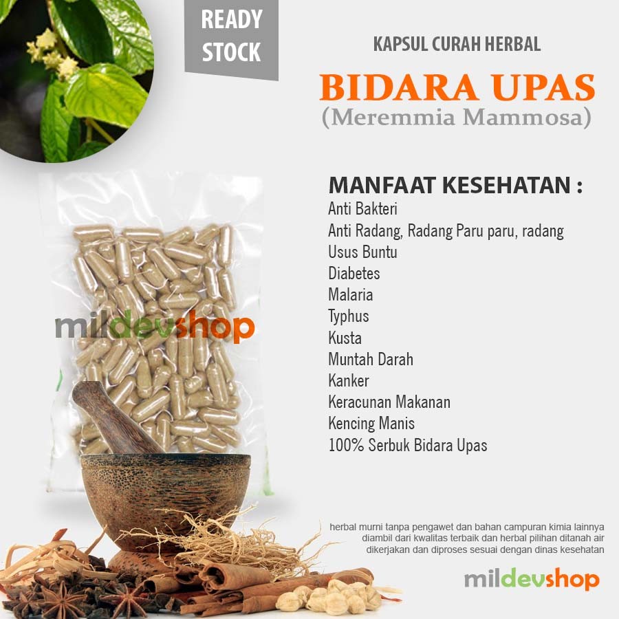 Jual BIDARA UPAS 100 Kapsul Herbal Muntah Darah Syphilis ASI Hati ...