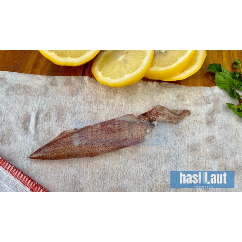 Jual Cumi Premium Ukuran Kecil Mendekati Sedang / Cumi FRESH / CUMI ...