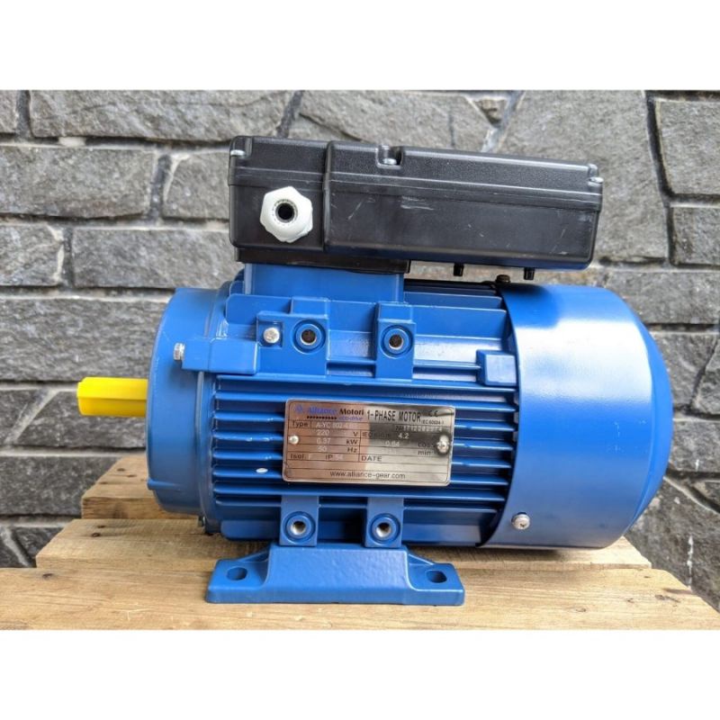 Jual Dinamo Alliance 1 HP 1 Phase 2800 Rpm Dinamo Elektro Motor 1 HP | Shopee Indonesia