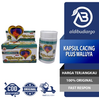 Jual KAPSUL CACING PLUS WALUYA UNTUK TIPES ISI 60 | Shopee Indonesia