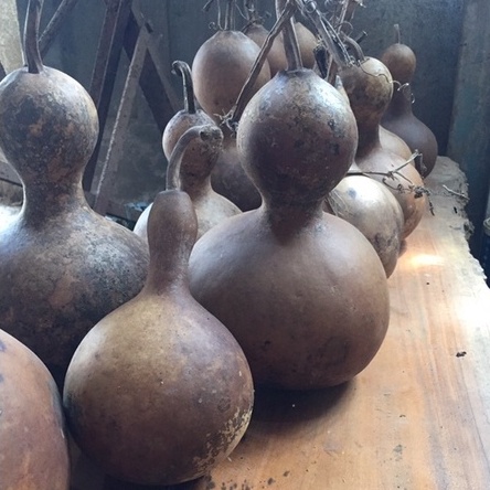 Jual Labu Botol Labu Air Labu Kendi Labu Cina Kering Utuh | Shopee ...