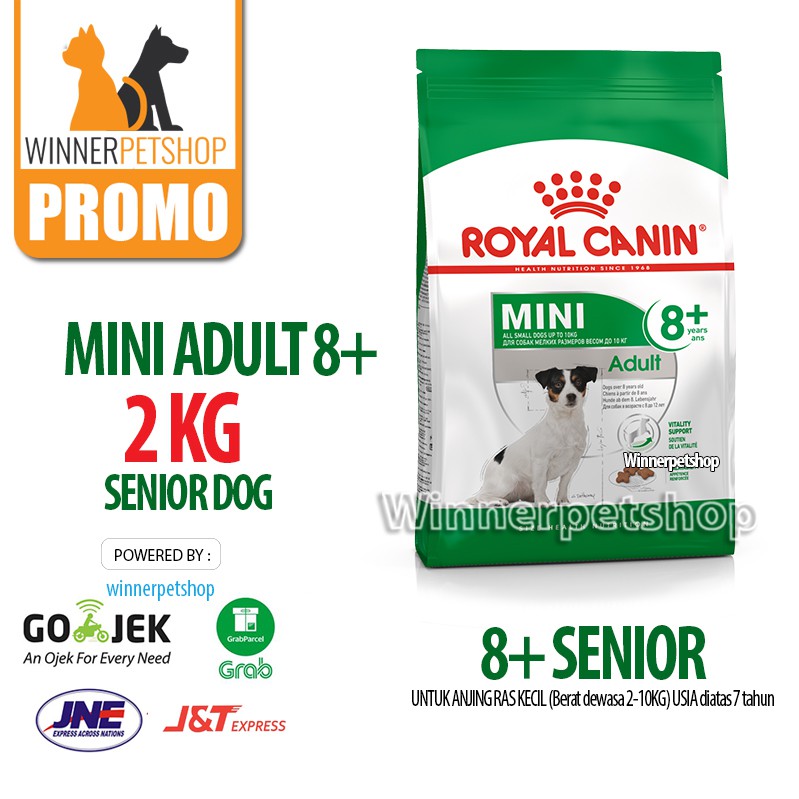 Jual Royal Canin mini adult 8+ senior dog / Royal canin mini senior dog ...