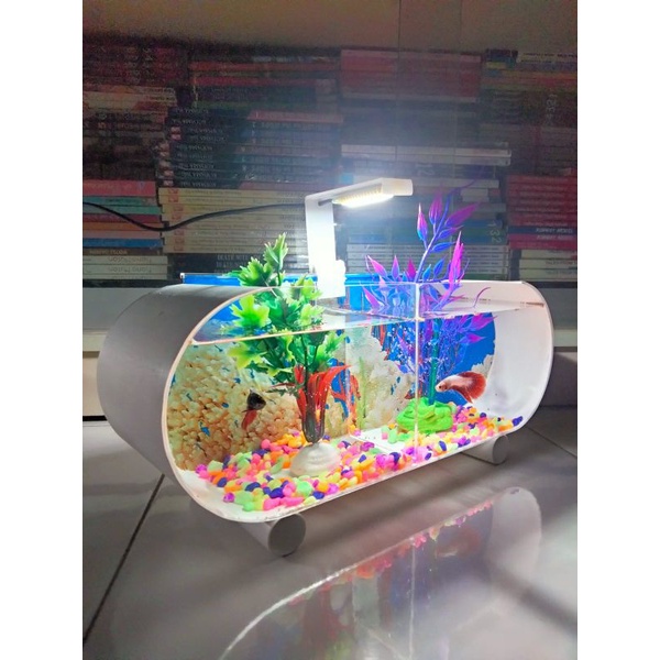 Jual akuarium mini akrilik + PVC viral | Shopee Indonesia