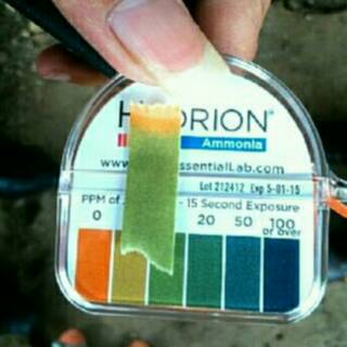 Jual Hydrion AM-40 Ammonia Test Paper 0-100 PPM - Tes Kit Amonia ...