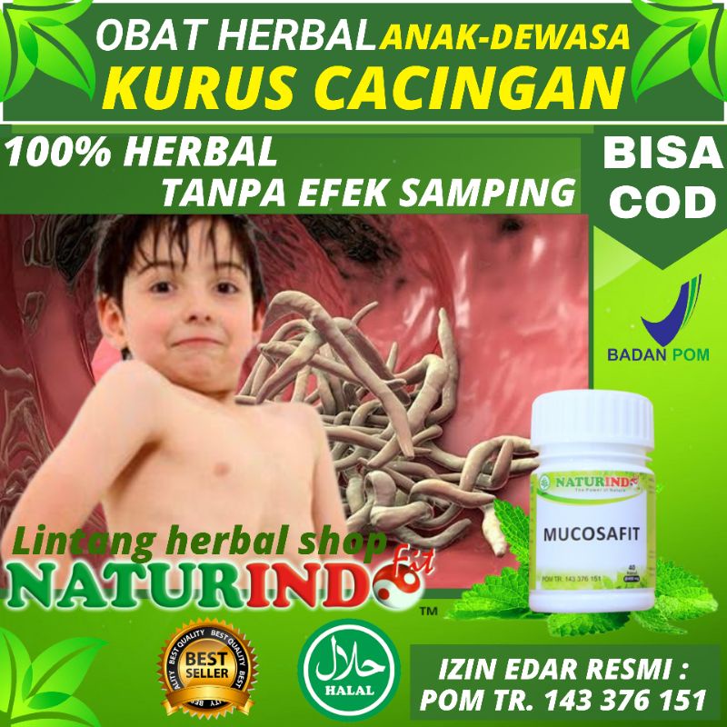 Jual Obat Cacingan Dewasa Herbal Ampuh Obat Cacingan Anak Mengatatasi ...