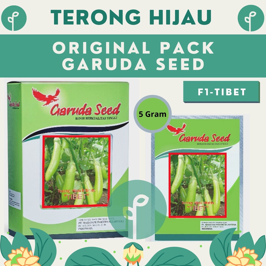 Jual BENIH OFFICIAL STORE Bibit Terong Hijau F1 TIBET 5 gram Benih ...