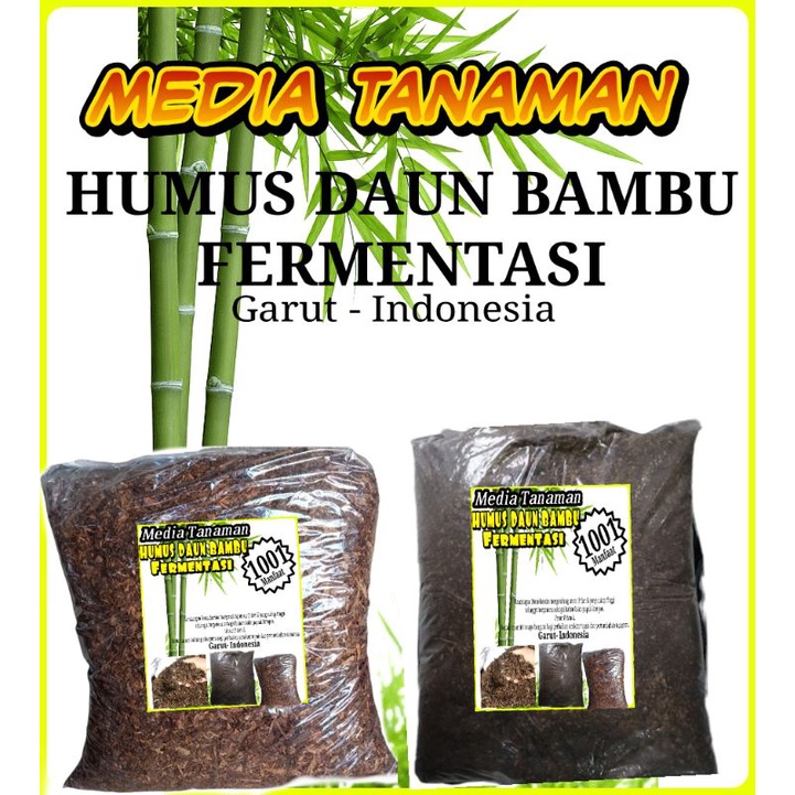 Jual HUMUS DAUN BAMBU FERMENTASI/MEDIA TANAMAN /PUPUK/ALAMI kiloan ...