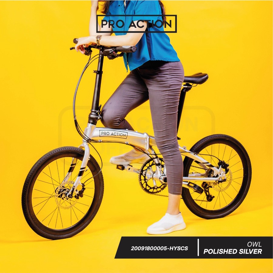 Jual Pro Action - Owl Bike Folding 10 Speed 20 inch - Polished Silver ...