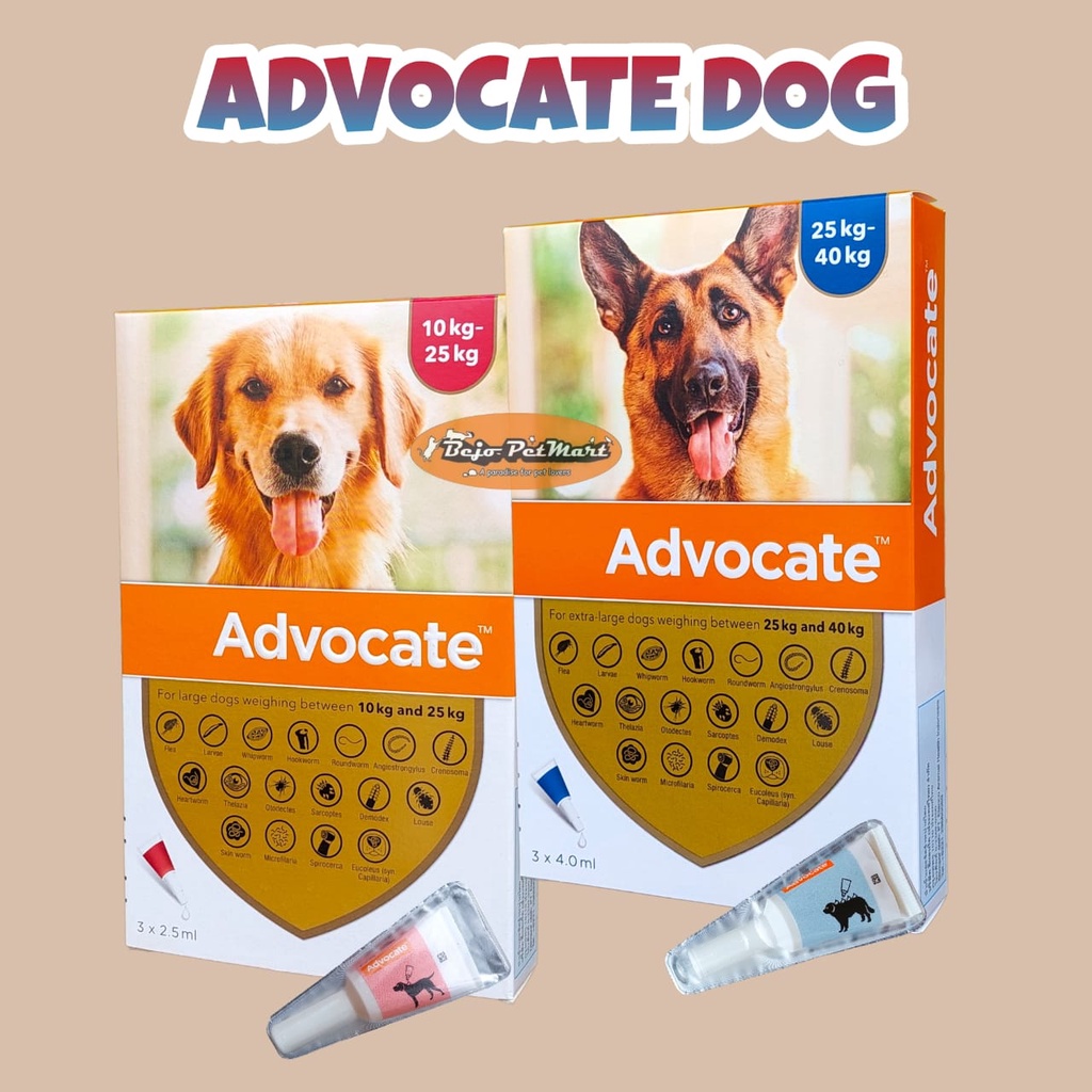 Jual ADVOCATE DOG 10-25 KG ( OBAT KUTU ANJING 1PC ) | Shopee Indonesia