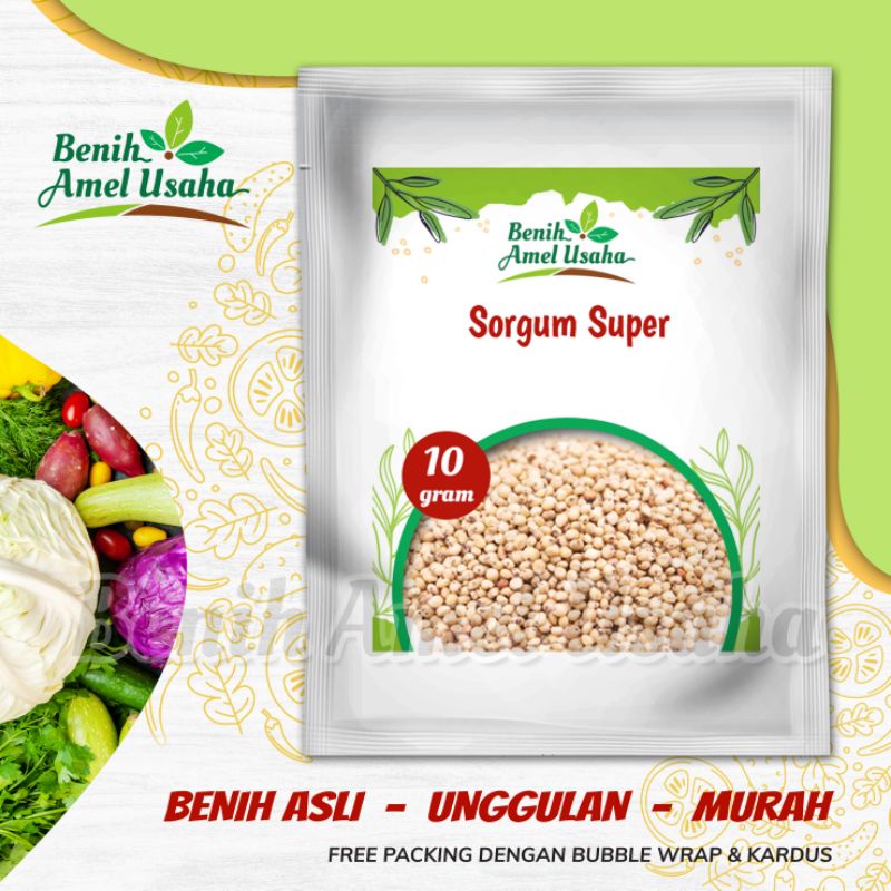 Jual Benih sorgum super isi 10 gram / benih pakan ternak / bibit pakan ...