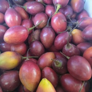 Jual BUAH TERUNG BELANDA 500/TERONG BELANDA/ | Shopee Indonesia