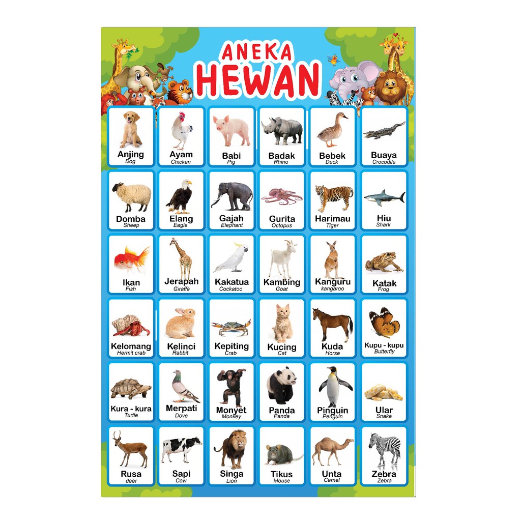 Jual POSTER ANEKA HEWAN (BAHASA INDONESIA DAN INGGRIS) Indonesia|Shopee ...
