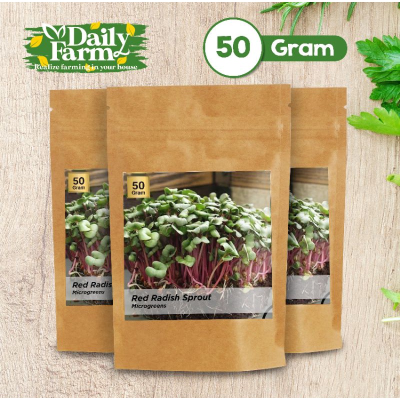 Jual Benih Sayur Microgreen Red Radish Sprout ( 50 gram ) | Shopee Indonesia