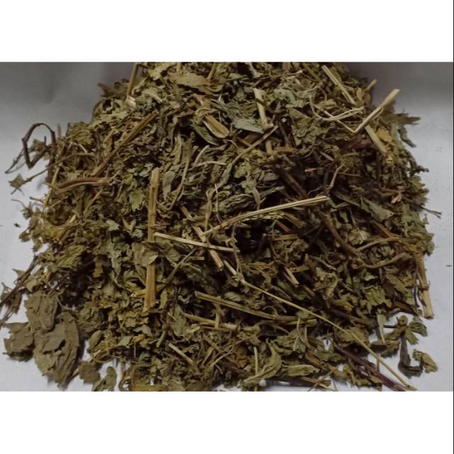 Jual Bo ho ye Po ho ye daun mint kering dried peppermint leaf 100 gram ...