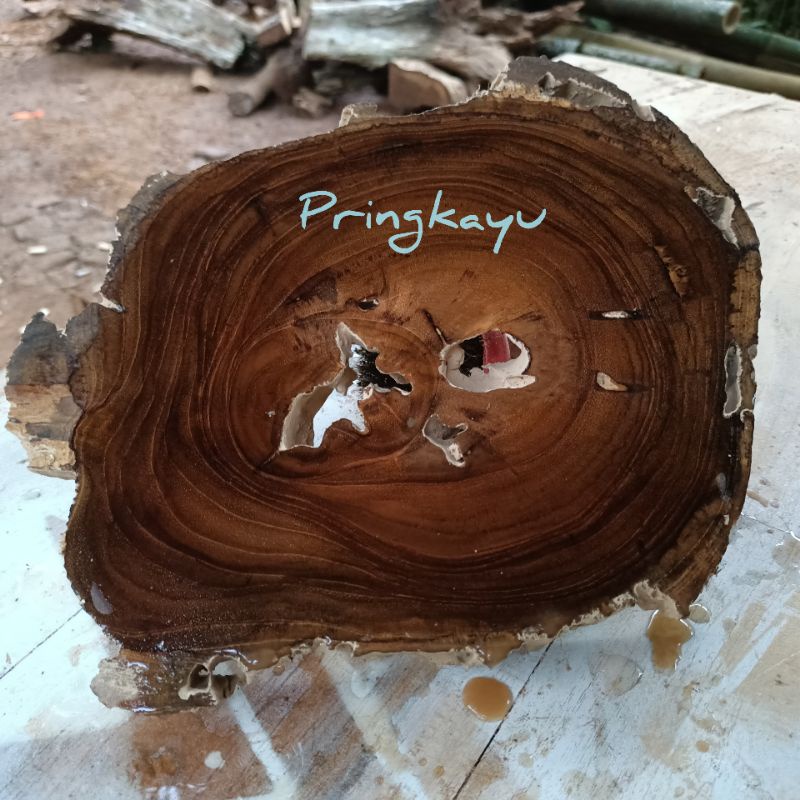 Jual wood slice/potongan kayu jati korosi D 29-22x2cm | Shopee Indonesia