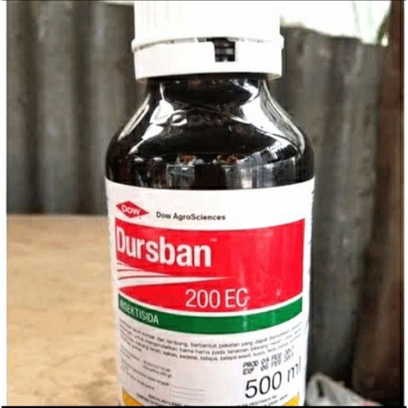 Jual DURSBAN 500 ml insektisida | Shopee Indonesia