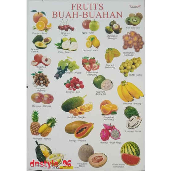 Jual Poster edukasi fruits/buah buahan | Shopee Indonesia