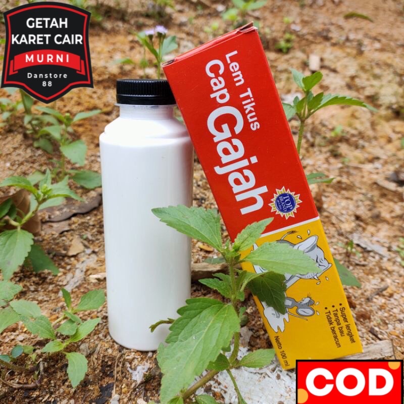 Jual Getah karet cair murni 250ml bundle lem tikus cap gajah (100%ASLI ...