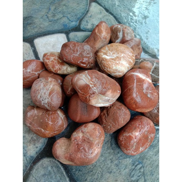 Jual BATU KORAL HIAS MERAH MAROON / MERAH BATA (RED PEBBLES), BATU ...