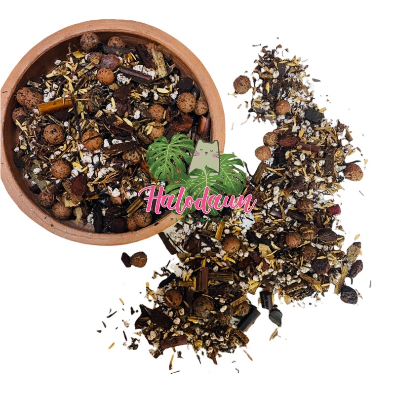 Jual MEDIA TANAM FERMENTASI AGLAONEMA MONSTERA ALOCASIA CALADIUM sekam ...