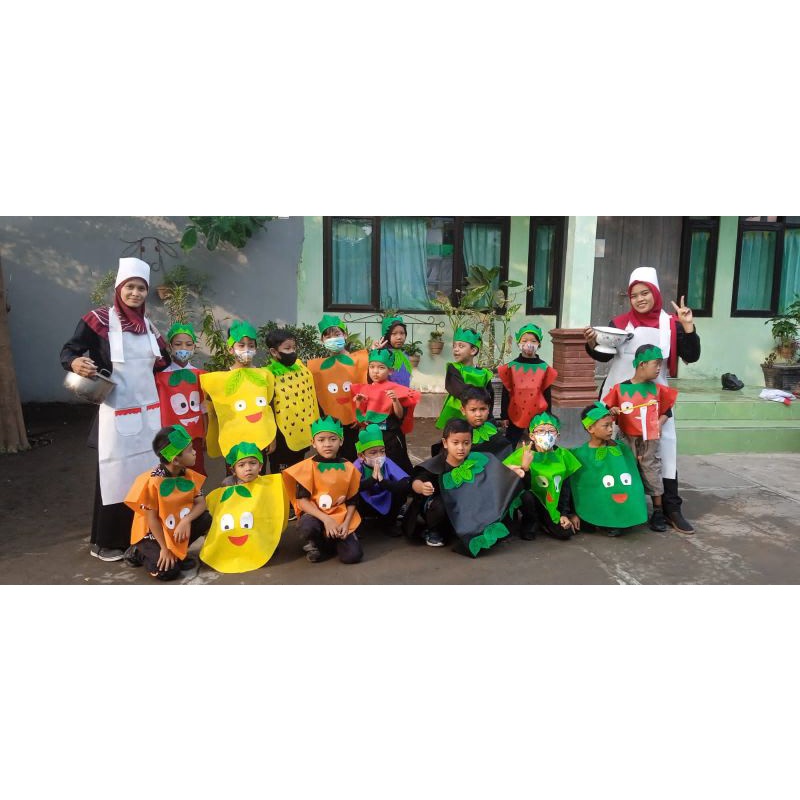 Jual kostum karakter buah anak anak ukuran paud, TK, SD | Shopee Indonesia