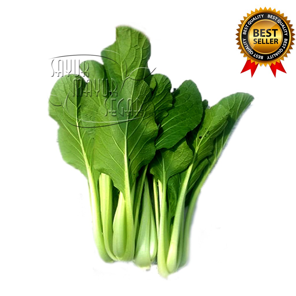 Jual SAYURMAYURSEGAR CAISIM FRESH / SAWI HIJAU SEGAR 500GRAM ( SAYUR ...