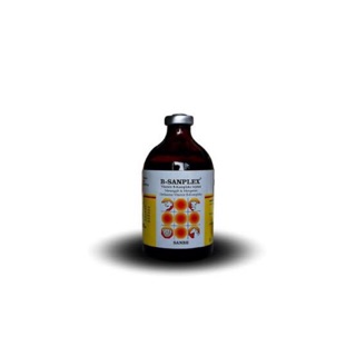 Jual Sanbe Farma / B Sanplex - Injeksi Vit B Kompleks - 100 ml | Shopee ...