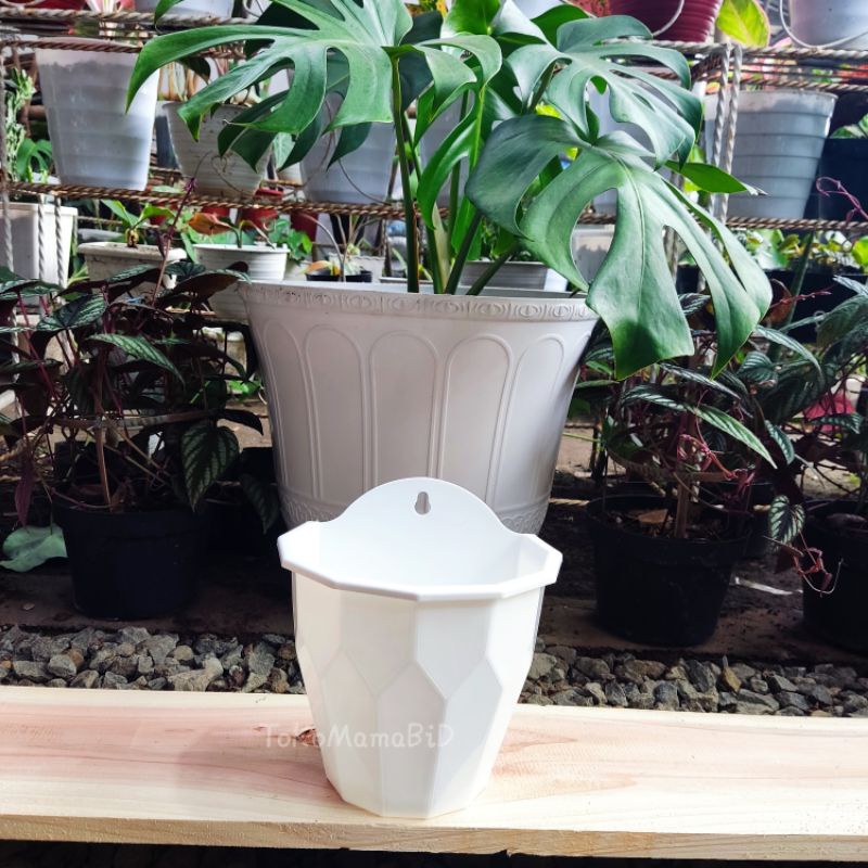 Jual Pot Dinding NKT Diamond | Shopee Indonesia