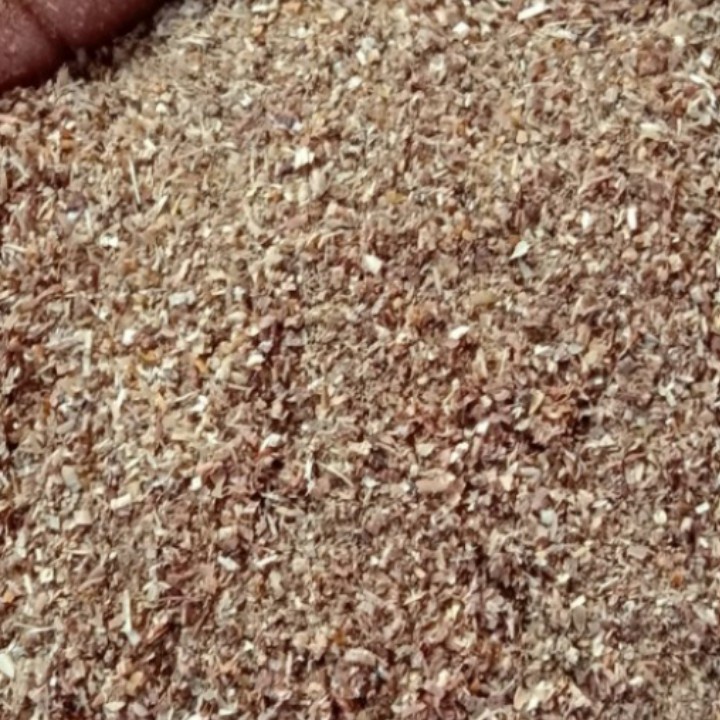 Jual 1 KG POLAR GANDUM ANGSA PAKAN TERNAK Original TERMURAH HARGA ...