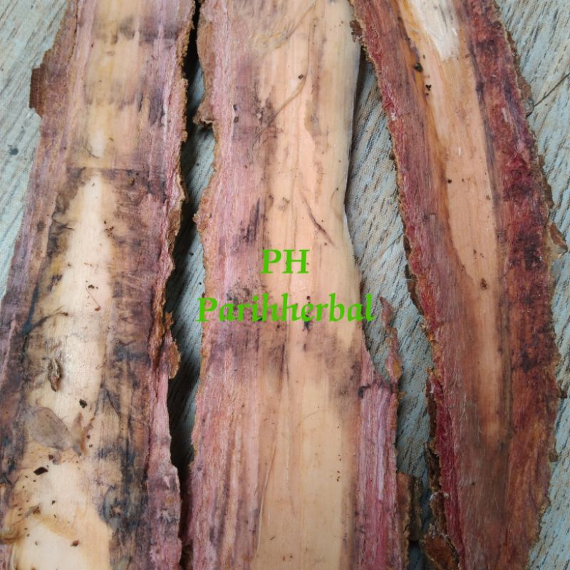 Jual Jual Kulit Mahoni/Swietenia mahagoni 500 gram | Shopee Indonesia Jual Jual Kulit Mahoni/Swietenia mahagoni 500 gram | Shopee Indonesia