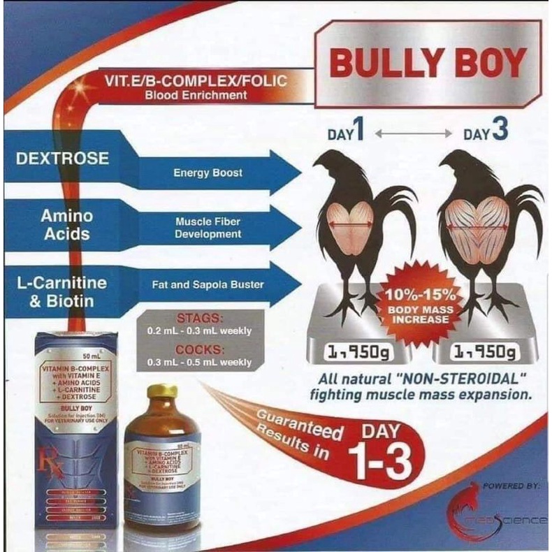 Harga bully boy Terbaru Okt 2024 |BigGo Indonesia