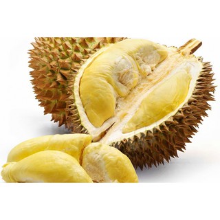 Jual Permen Kino Durian Bangkok / Permen Lunak Duren / Chewey Chewy ...